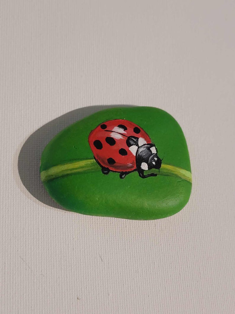 Hand Painted Ladybug on Stone - Etsy