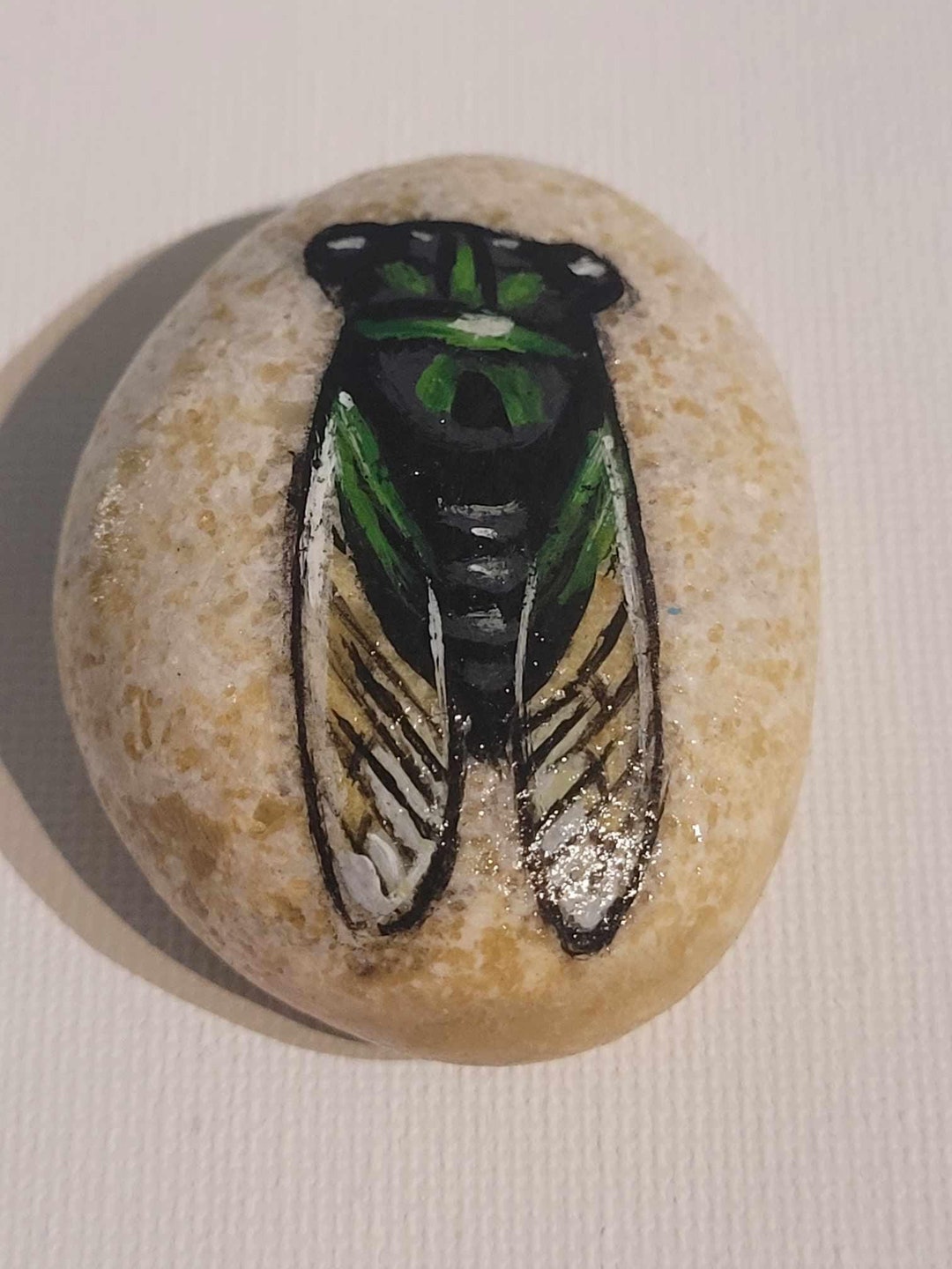 Hand Painted Cicada on Stone - Etsy
