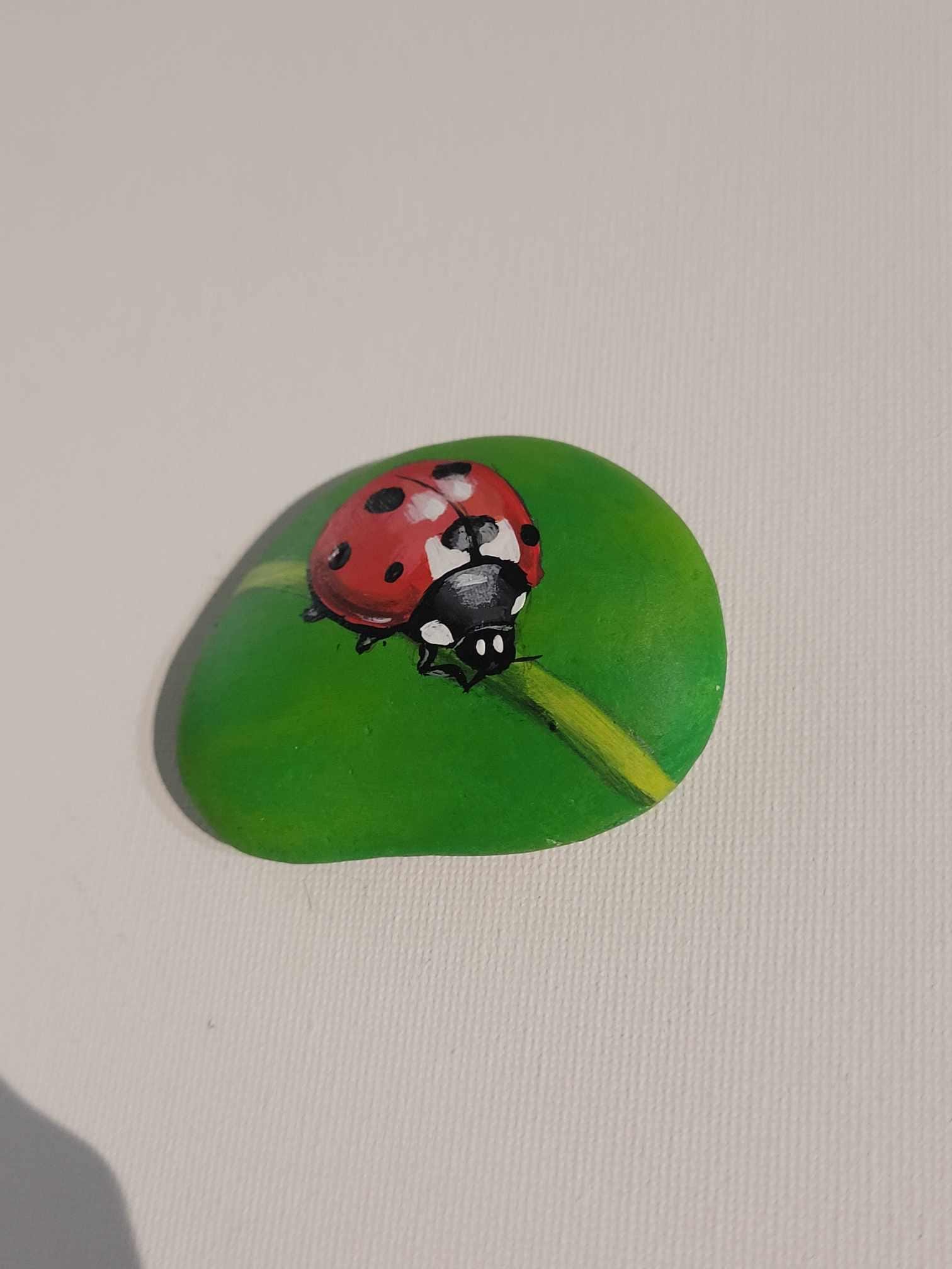 Hand Painted Ladybug on Stone - Etsy