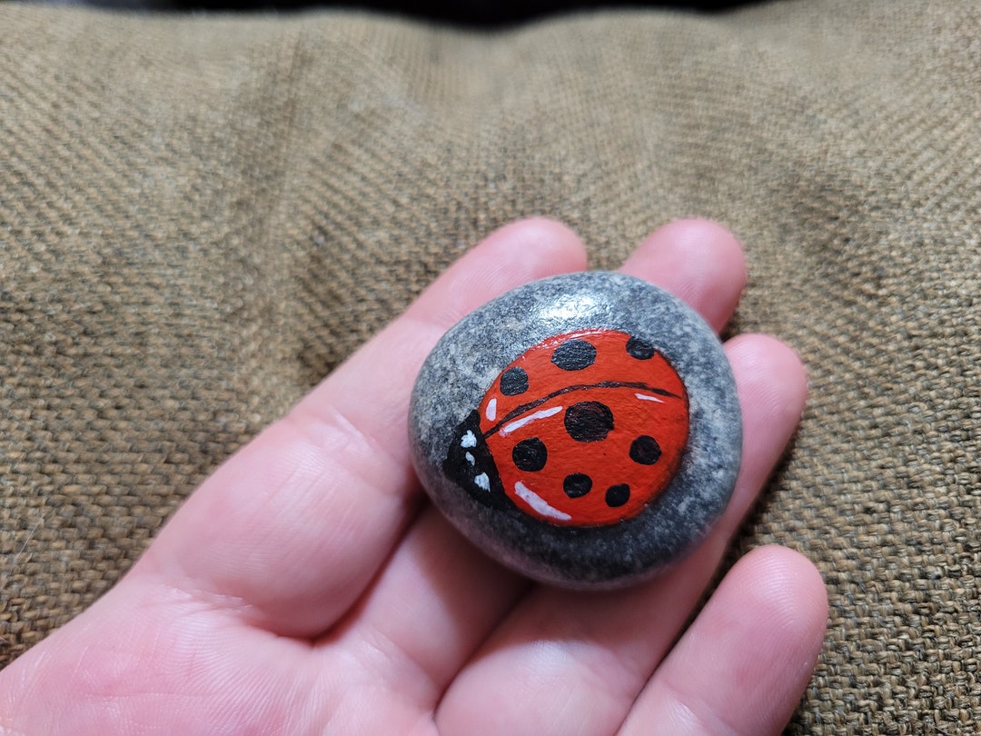 Hand Painted Ladybug on Stone - Etsy