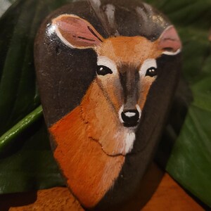 Hand Painted White Tailed Deer on Stone - Etsy