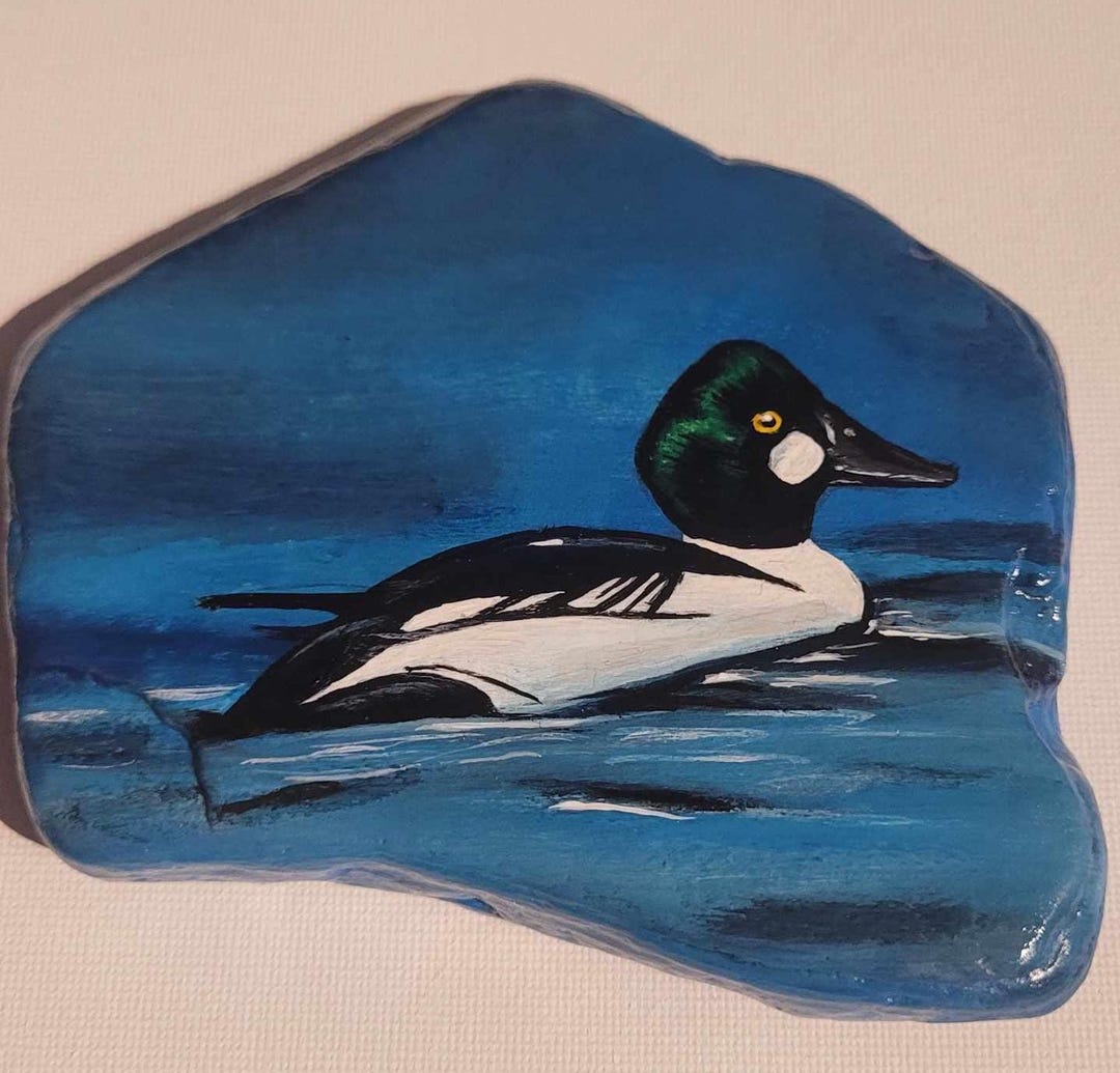 Hand Painted Duck on Stone - Etsy