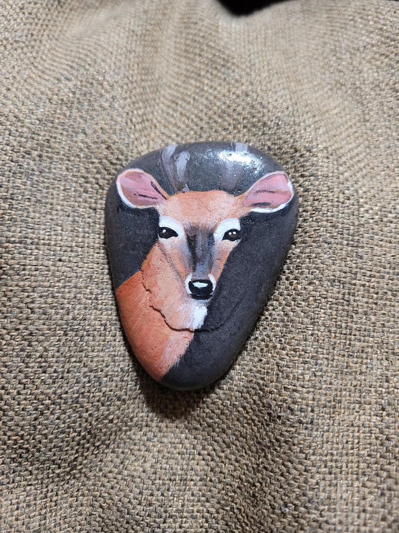 Hand Painted White Tailed Deer on Stone - Etsy