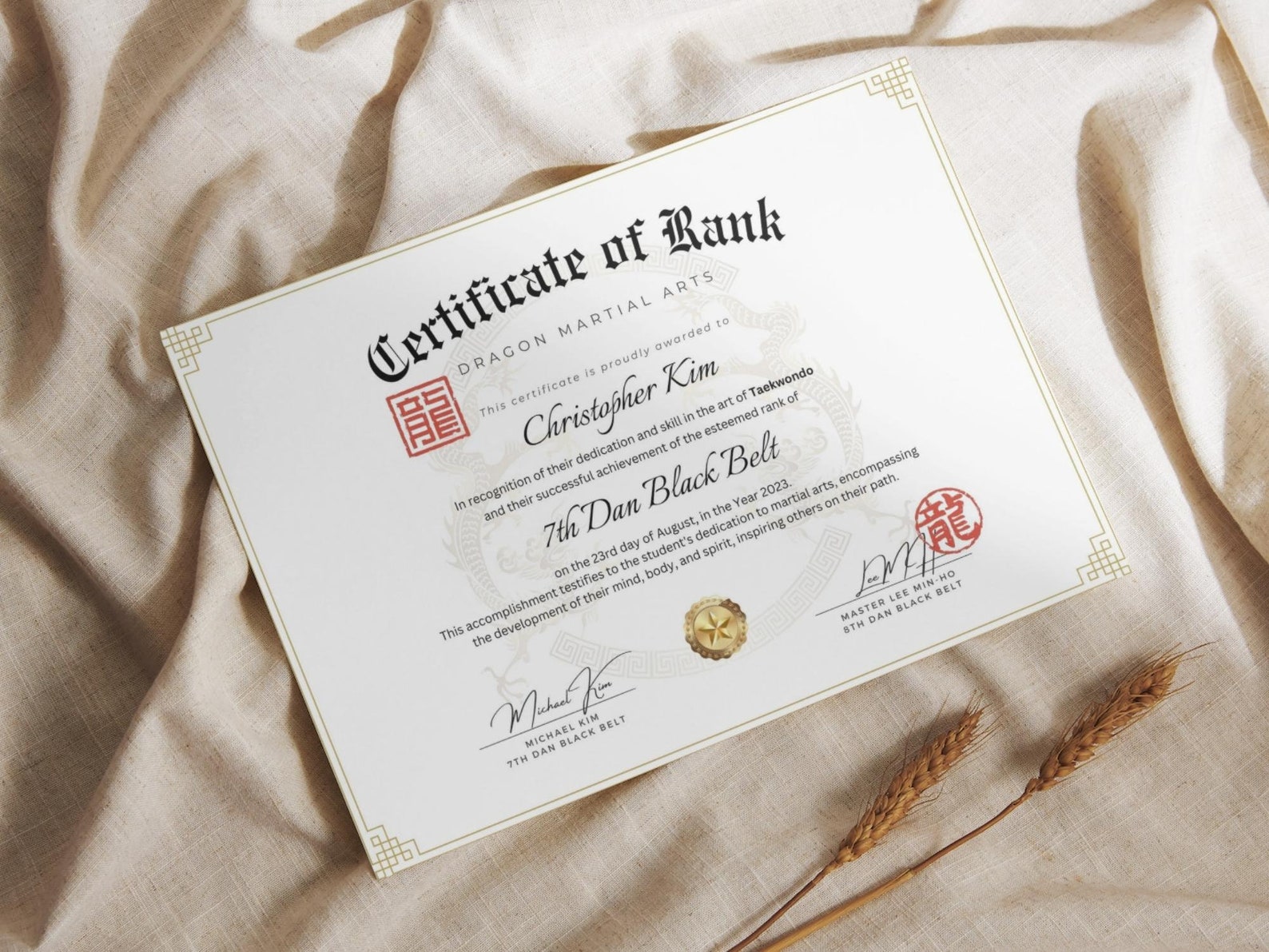 Editable Certificate of Rank Recognition for Martial Arts Certification ...