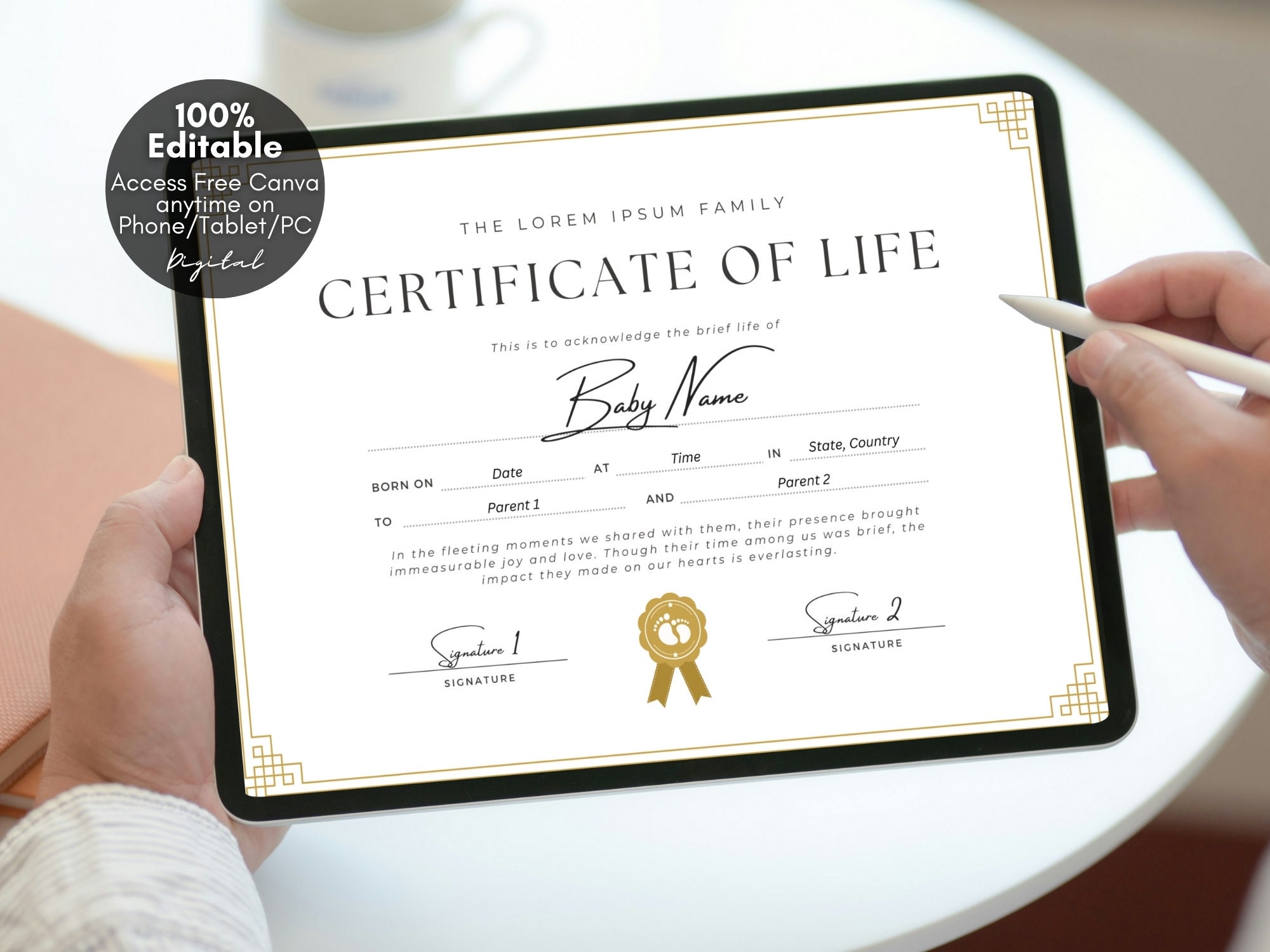 Editable Certificate of Life Baby Memorial Gift, Baby Life Certificate ...