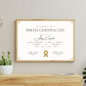 Editable Certificate of Birth Certificate Template Baby - Etsy