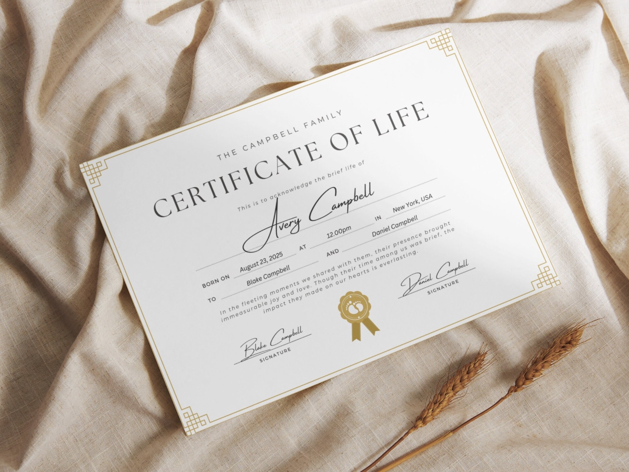 Editable Certificate of Life Baby Memorial Gift, Baby Life Certificate ...
