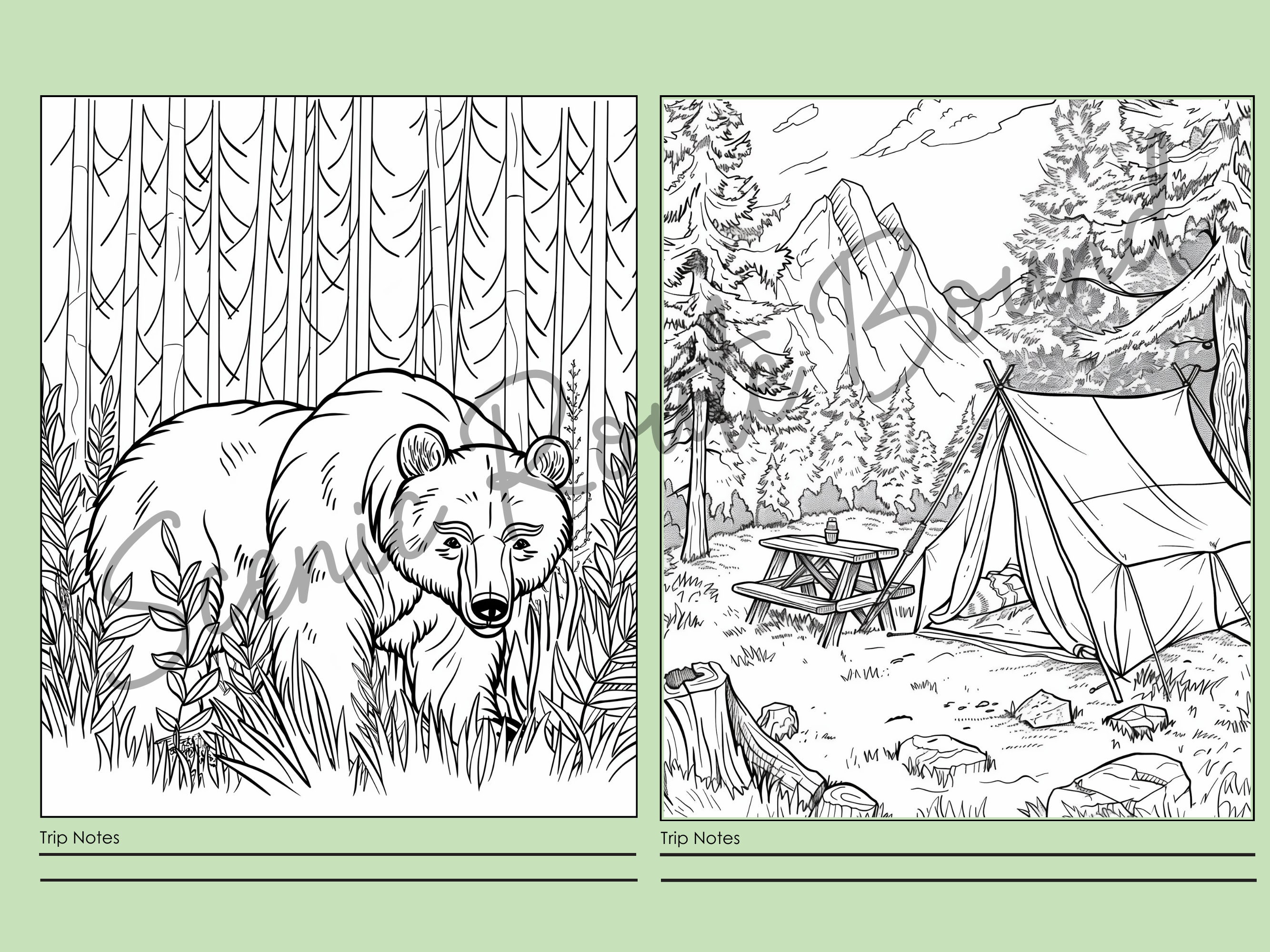Camping Coloring Pages Kid Travel Activity Coloring Sheet Printable ...