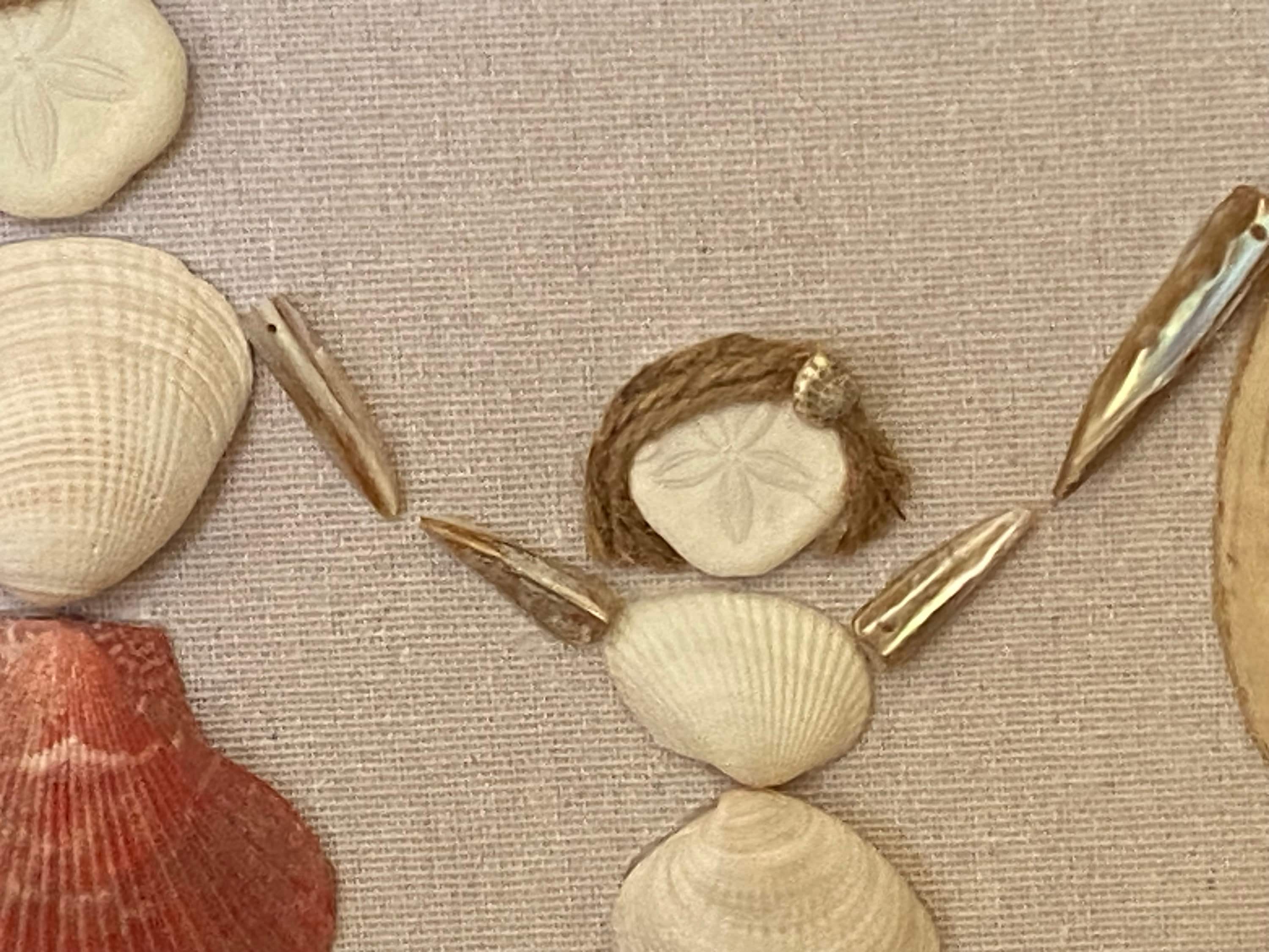 Seashell Family, Seashell People, Seashell Shadowbox, - Etsy