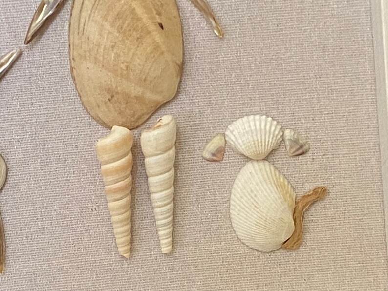 Seashell Family, Seashell People, Seashell Shadowbox, - Etsy