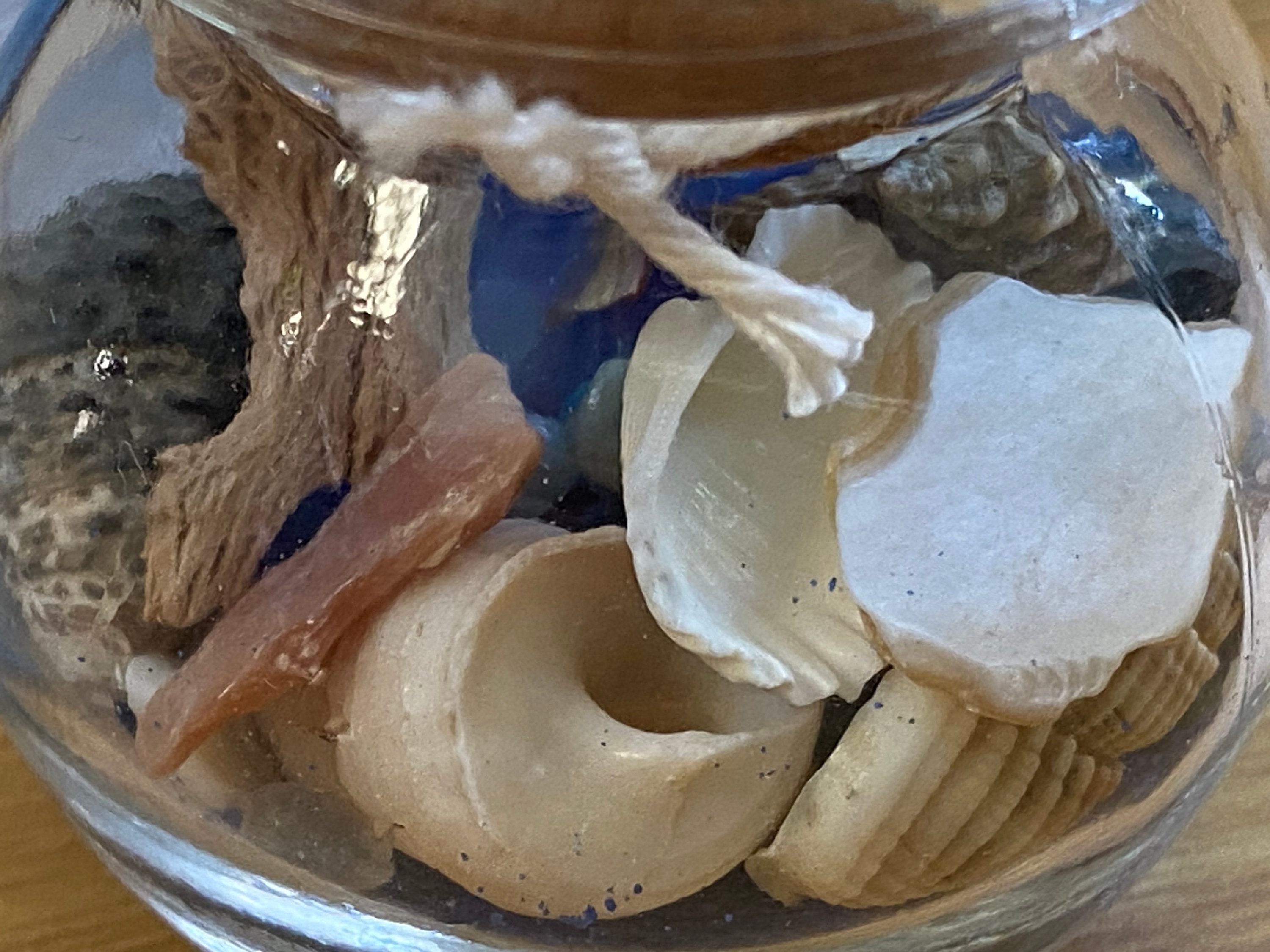 Seashells in Bottle, Beach in the Bottle, Shells in the Jar. Message in ...