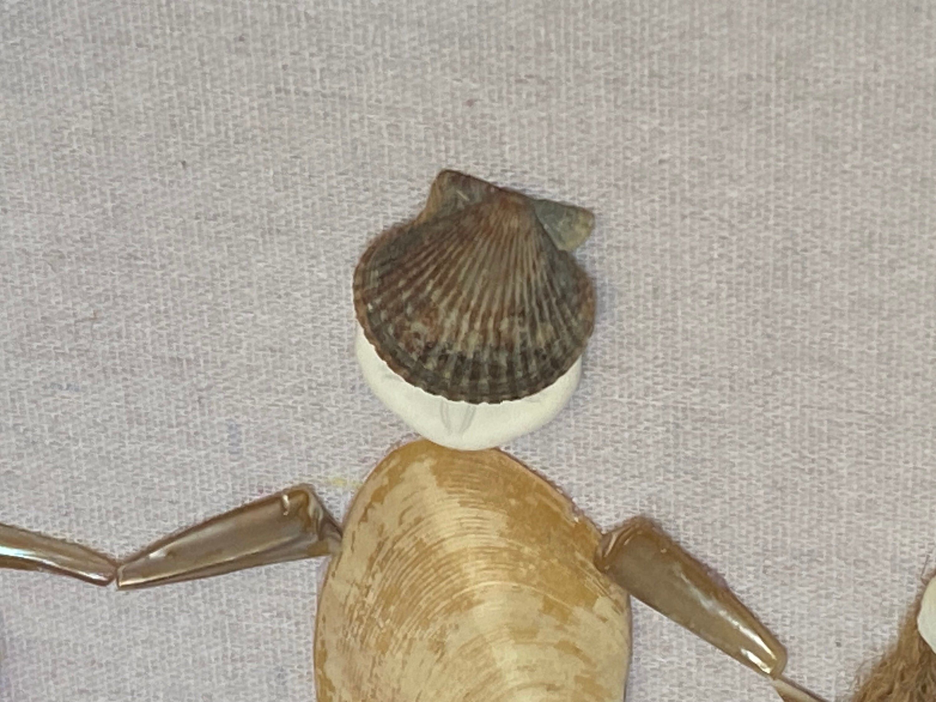 Seashell Family, Seashell Shadow Box, Shell People, - Etsy