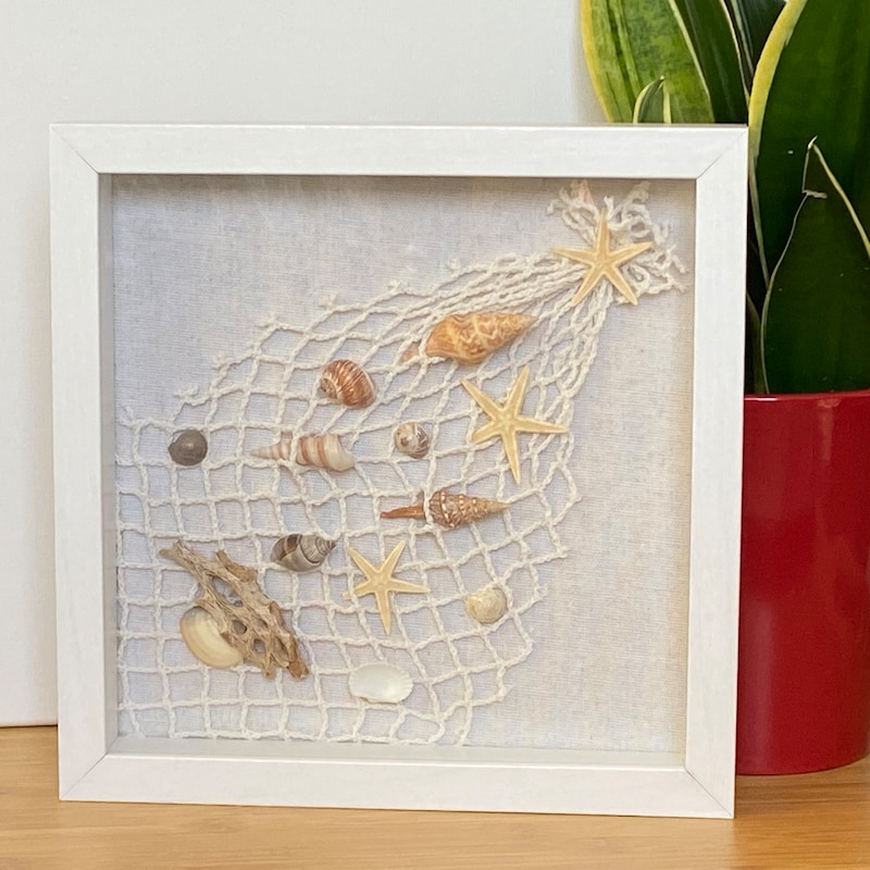 Seashell Shadow Box - Etsy
