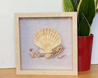 Shell Shadow Box Wall Art - Etsy