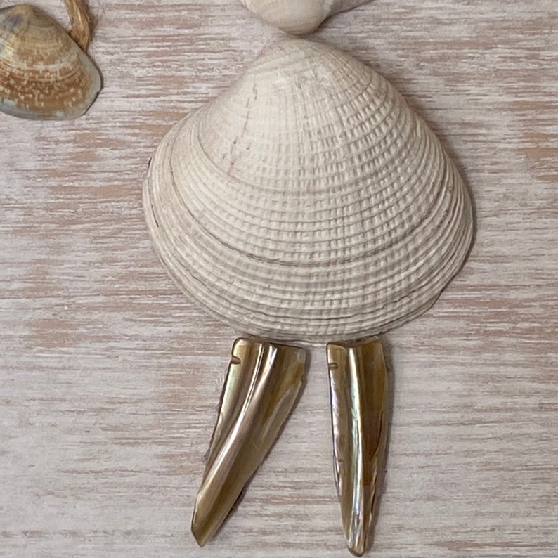 Shell Best Friends, Seashell People, Sister Picture, Friends Forever ...