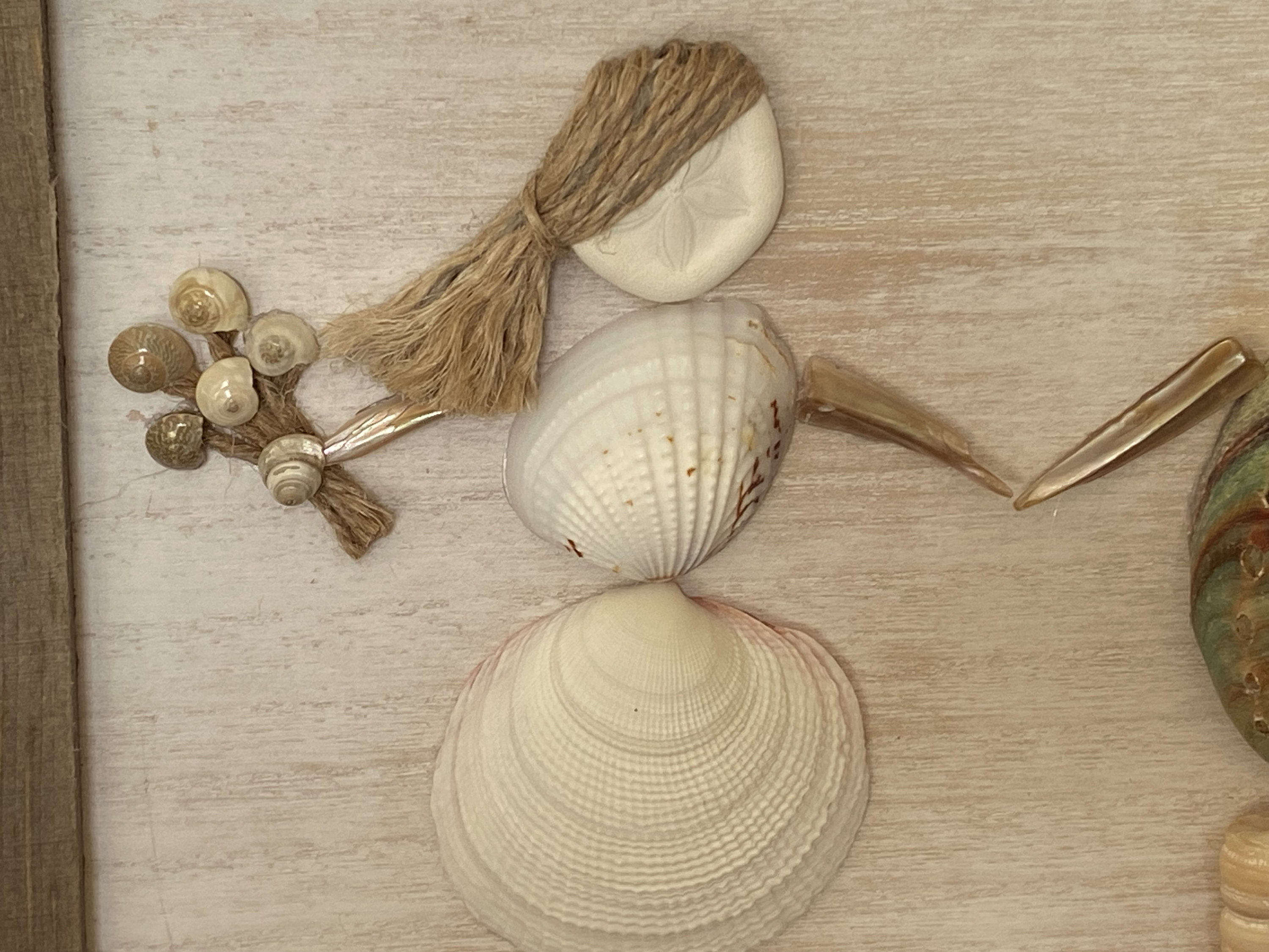 Seashell Couple, Shell People, Seashell Boy and Girlfriend, Shell Wife ...