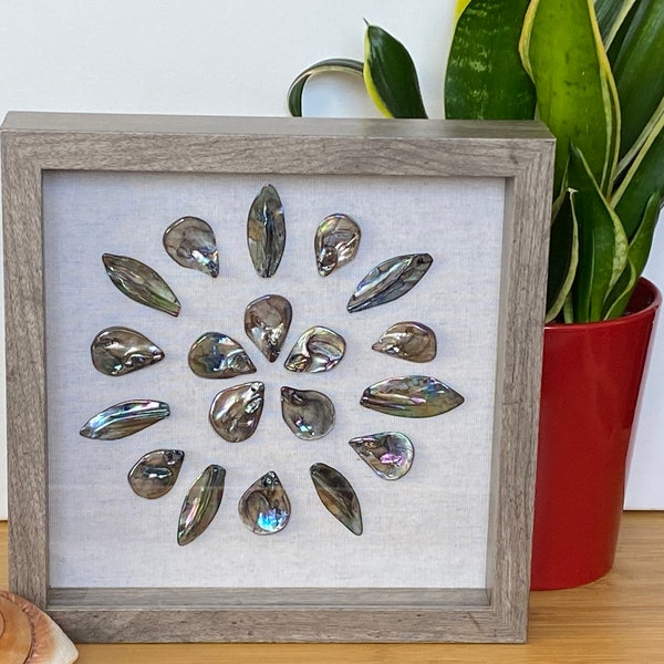Shell Shadow Box - Etsy