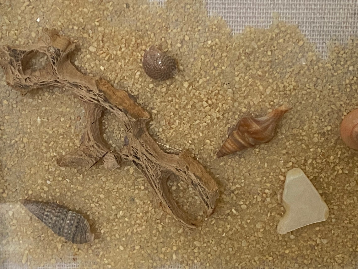 Shell People, Mother and Daughter on the Beach, Seashells Girls ...