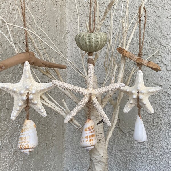 Starfish Hanger - Etsy