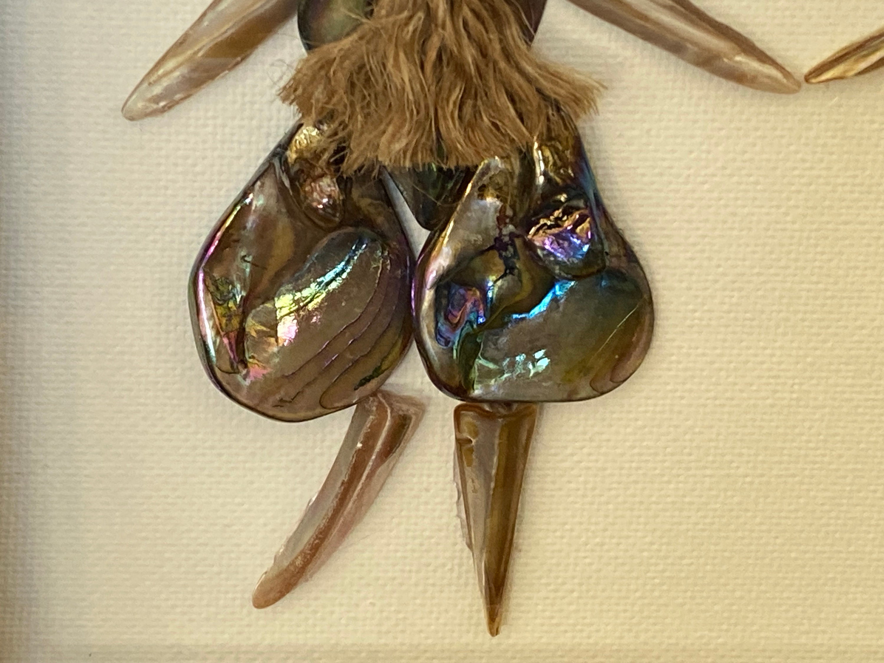 Seashell Friends, Shell People, Seashell Shadowbox, Two Ladies/divas ...