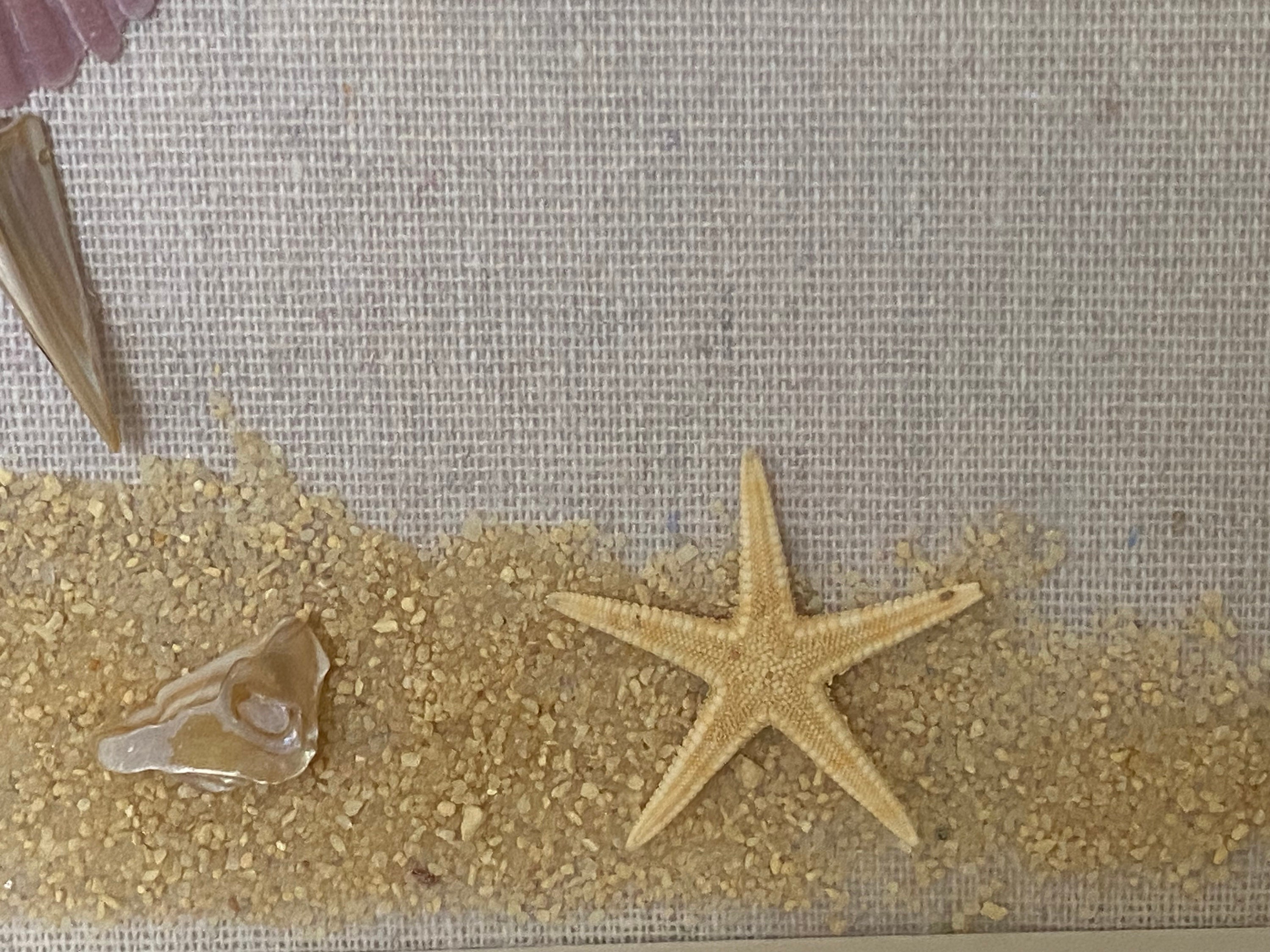 Shell People, Mother and Daughter on the Beach, Seashells Girls ...