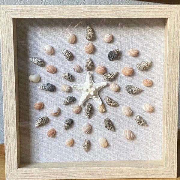Seashell Shadow Box - Etsy