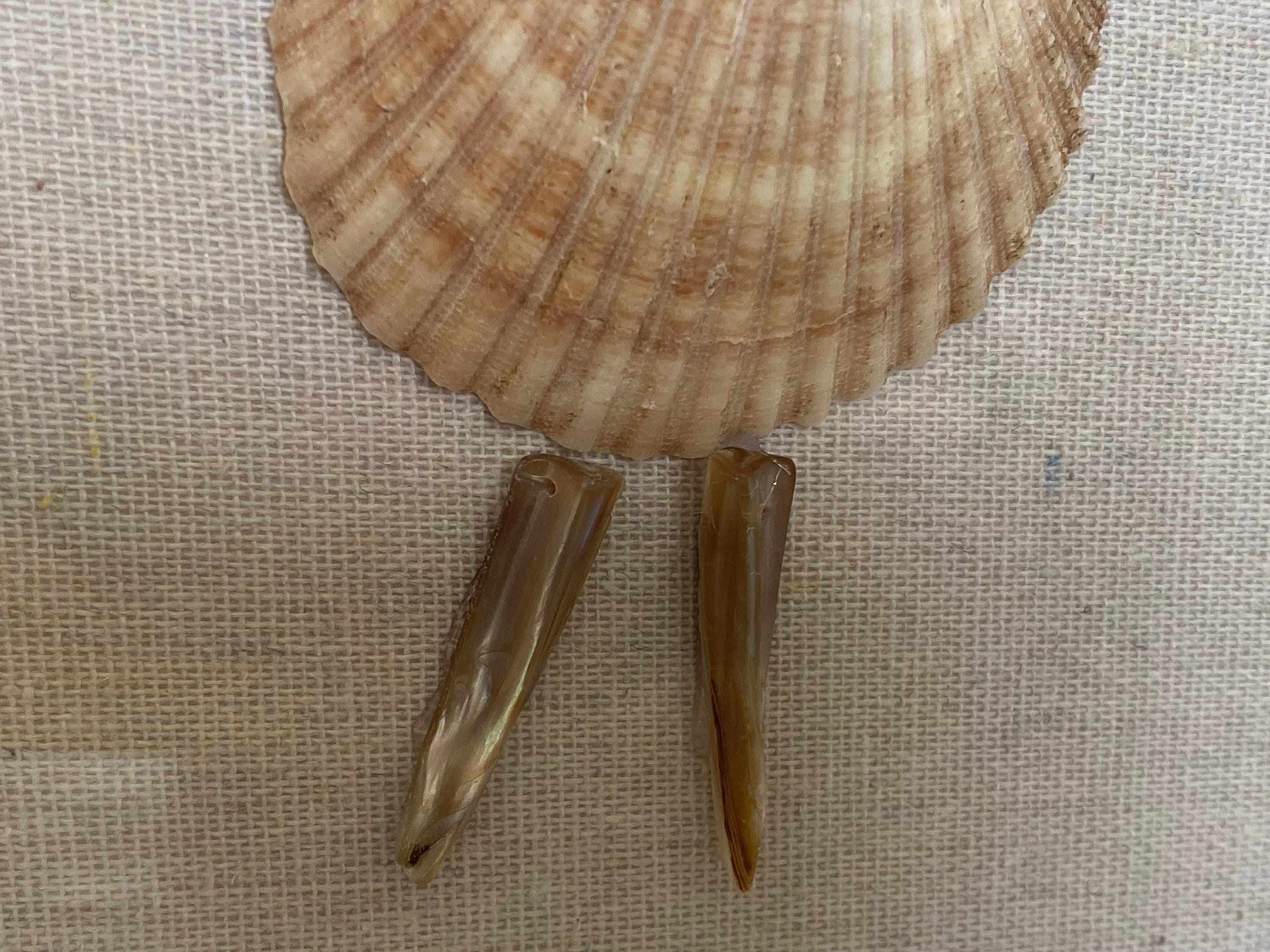 Seashell Friends, Shell Sisters, Seashell People, Ocean Lovers Gift - Etsy