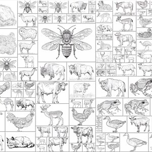 200 Procreate Farm Animal Stamps, Farm Animal Digital Stamps - Etsy