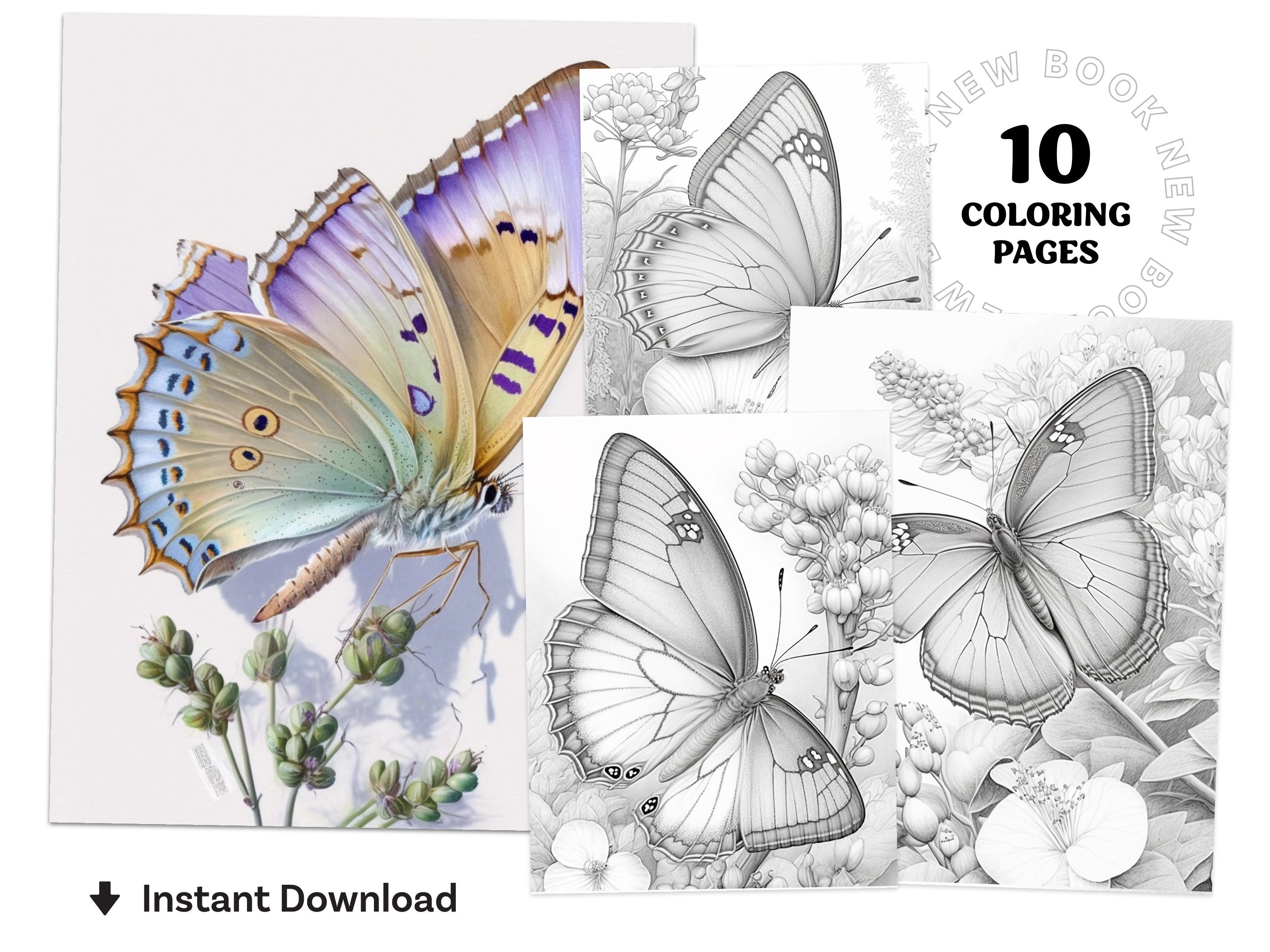Beautiful Butterflies Coloring Book Printable Coloring Page - Etsy