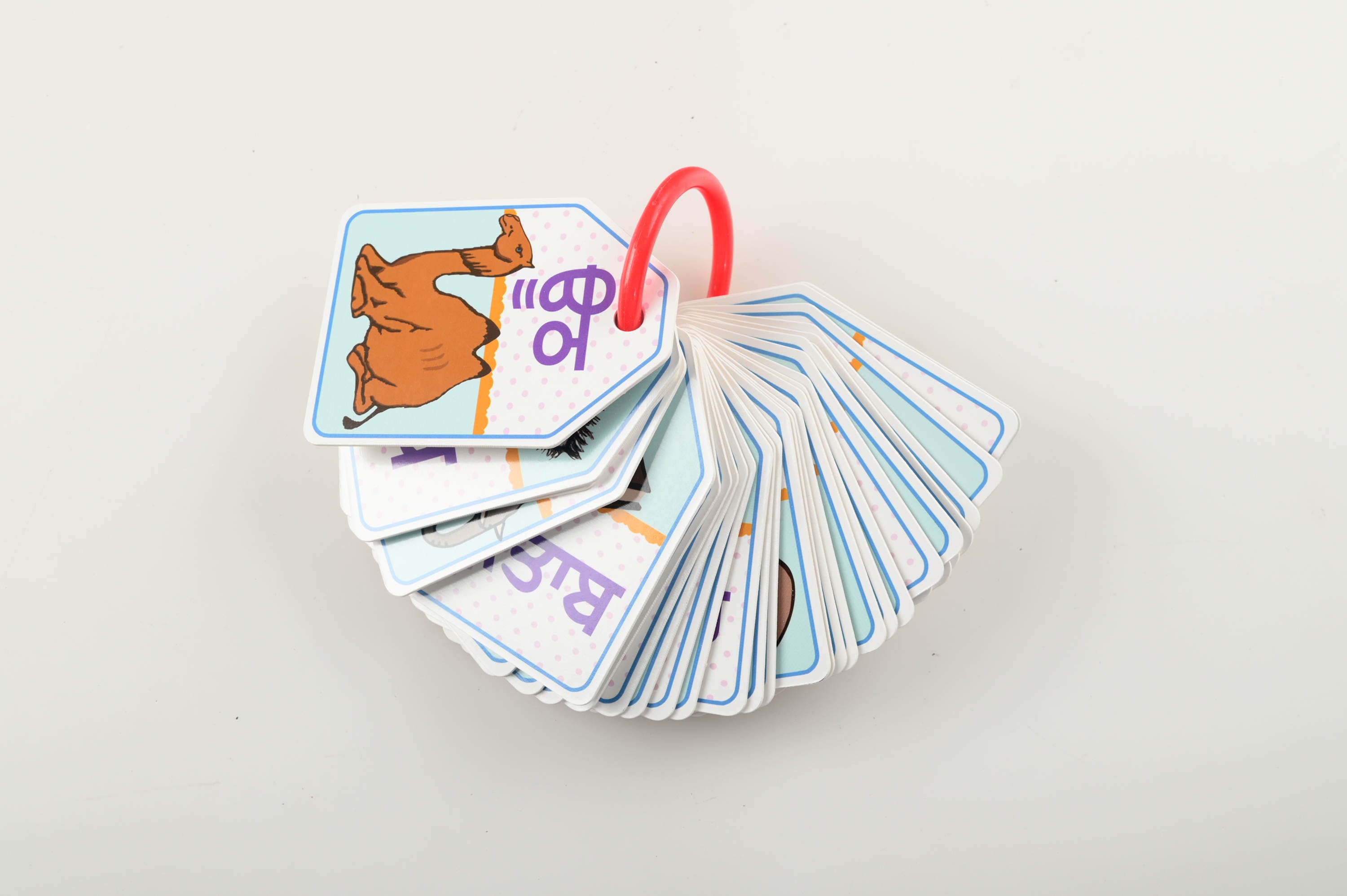 Punjabi Flashcards - Etsy