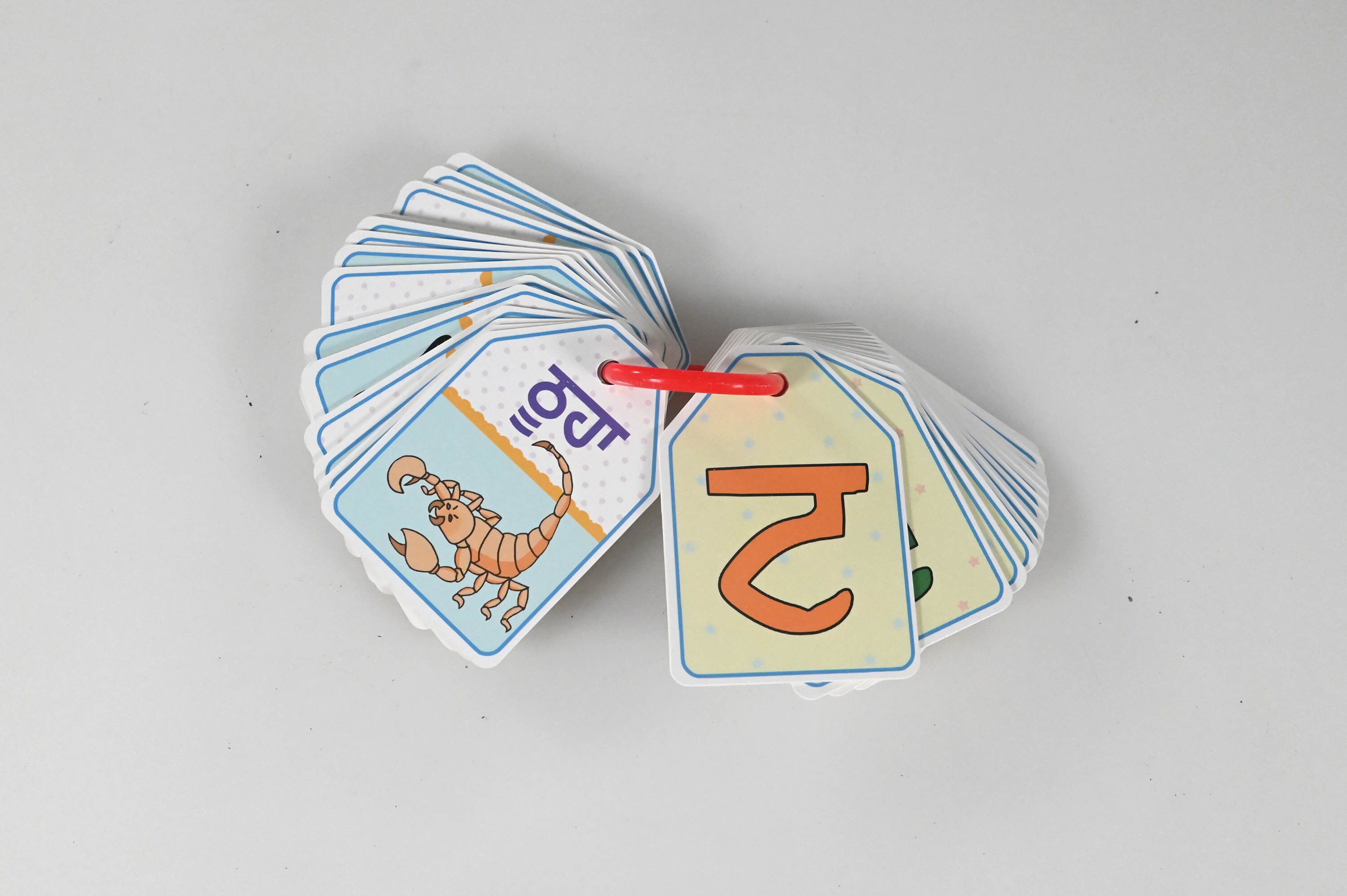 Punjabi Flashcards - Etsy