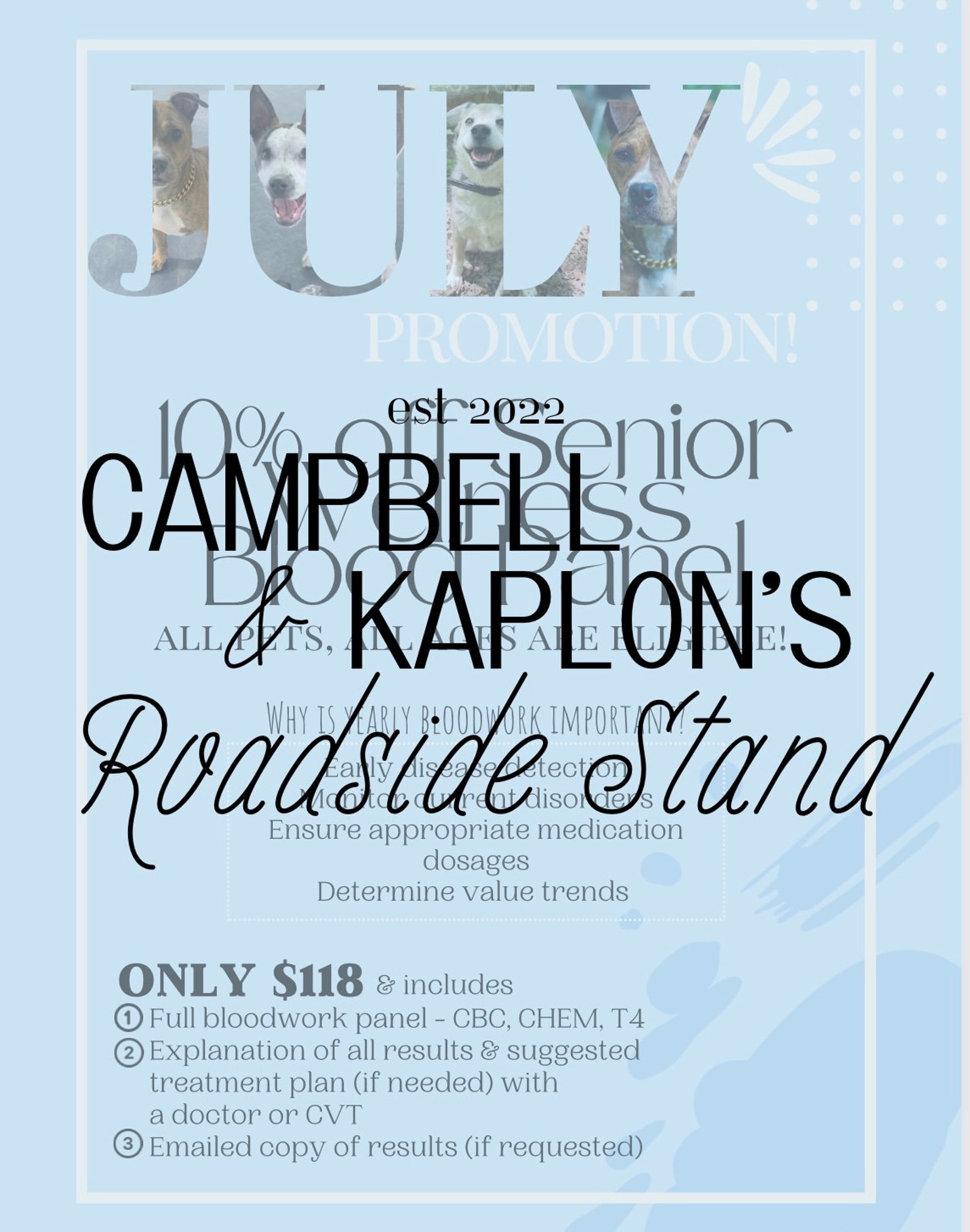 Custom Business Flyers / Small Business Ad - Etsy