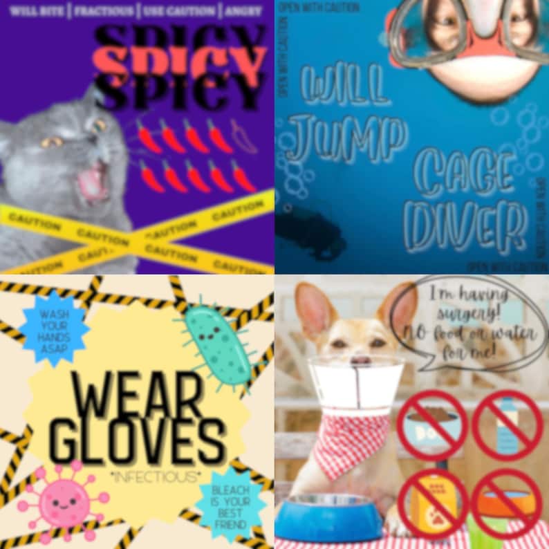 Vet Med Cage Cards Downloadable / Patient Kennel Alert - Etsy