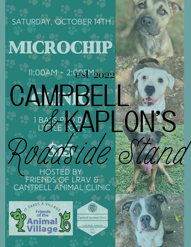 Custom Business Flyers / Small Business Ad - Etsy