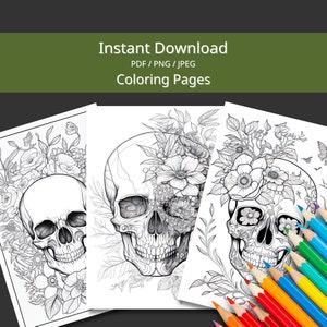 Skull With Flowers 1 Coloring Pages 3 Pack Adult - Etsy