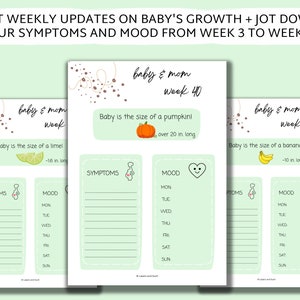 Pregnancy Planner Printable, Printable Pregnancy Journal, Expecting Mom ...