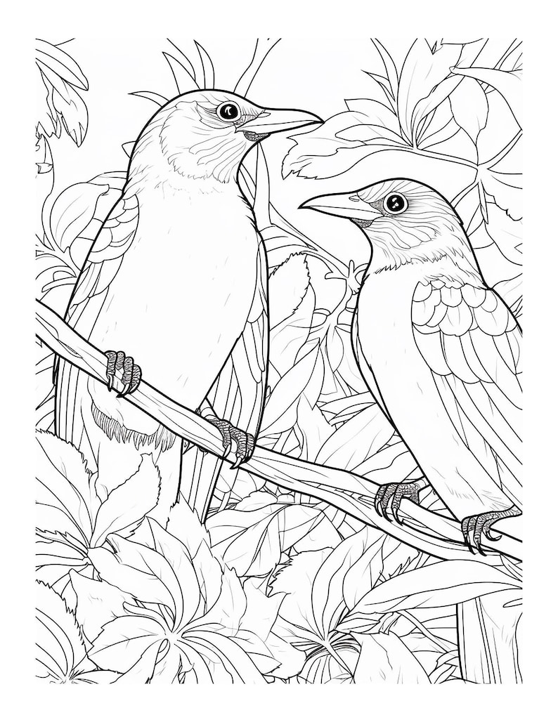 Birds Coloring Pages. Birds Coloring Sheets, Adult Coloring Sheet,kids ...