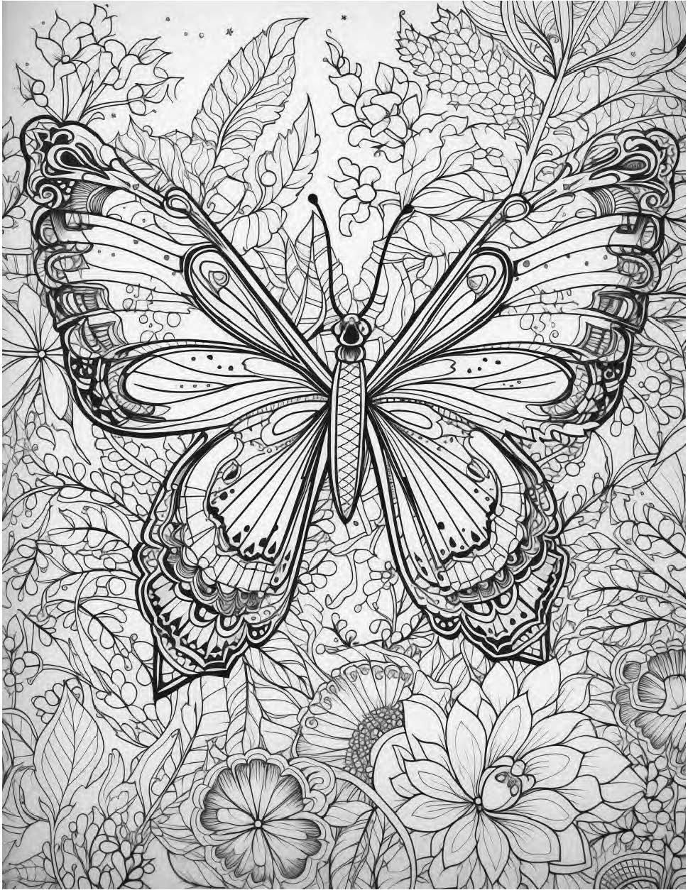 Butterfly Coloring Pages,insect Coloring Pages, Adult Coloring Pages ...
