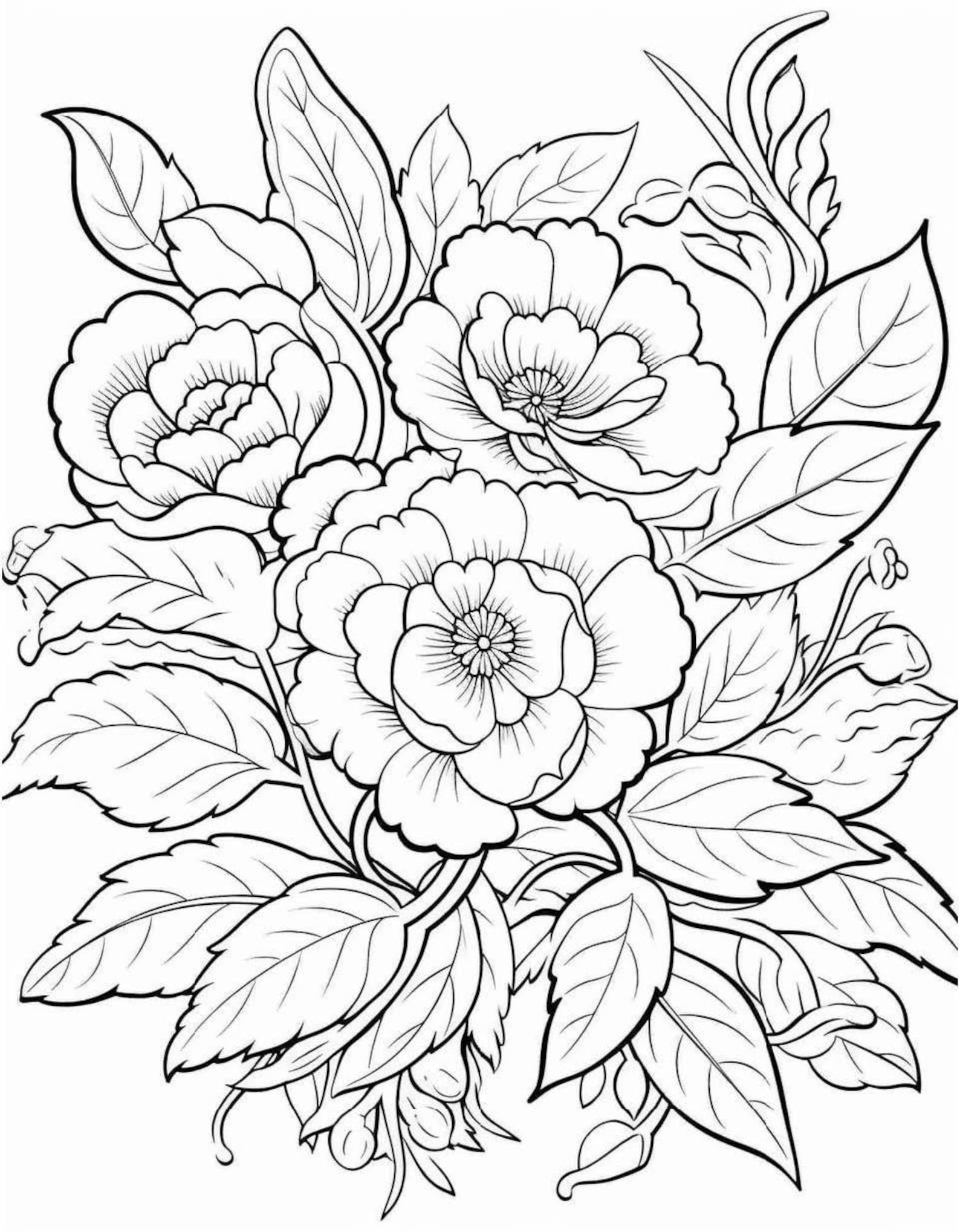 Flower Coloring, Adult Coloring, Flower Coloring Page, Adult Coloring ...