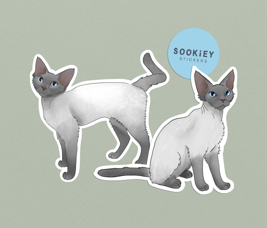 Devon Rex | Blue Point | Vinyl Stickers | 2 Pack | Water Resistant - Etsy