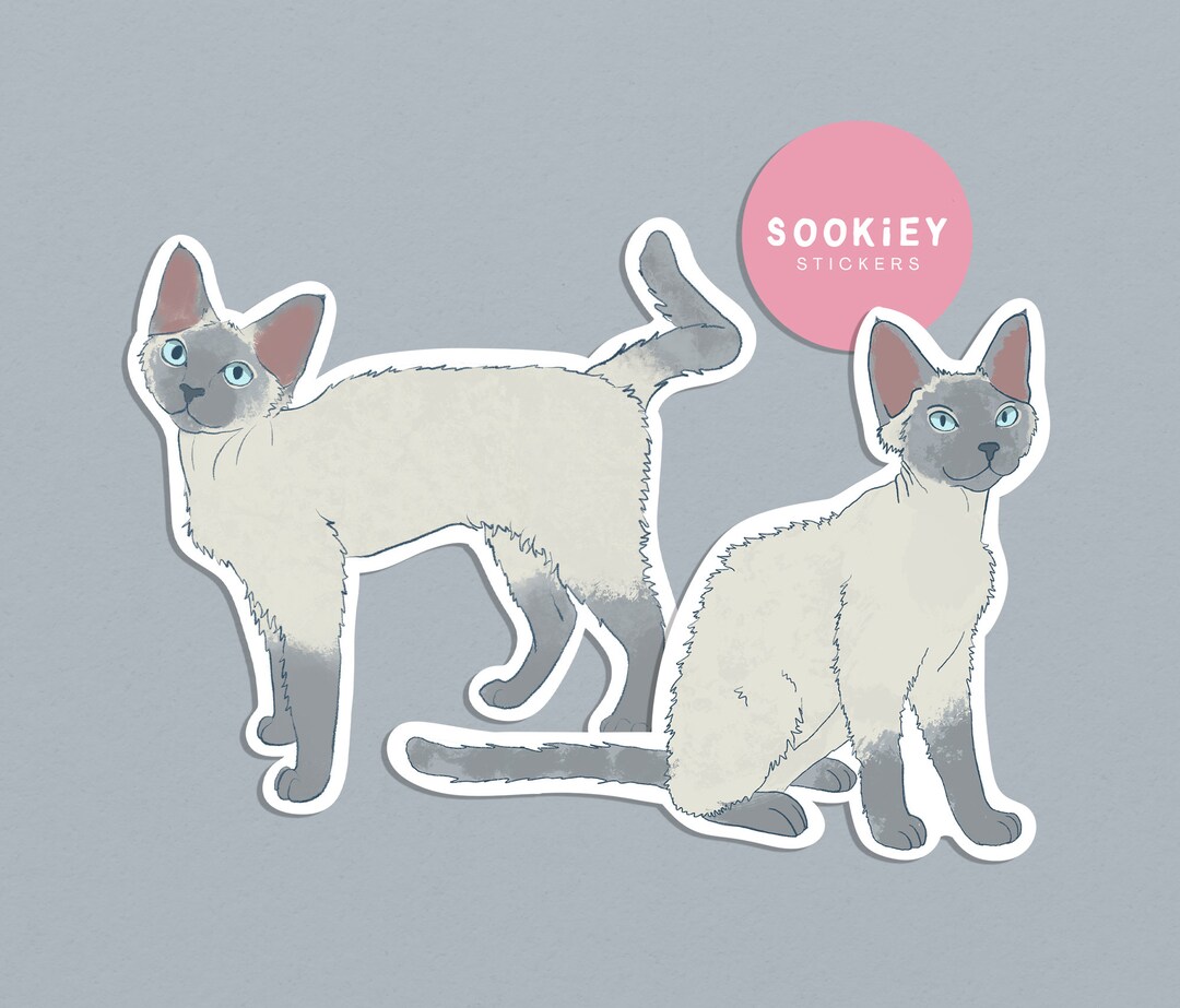 Devon Rex V2 | Blue Point | Vinyl Stickers | 2 Pack | Water Resistant ...