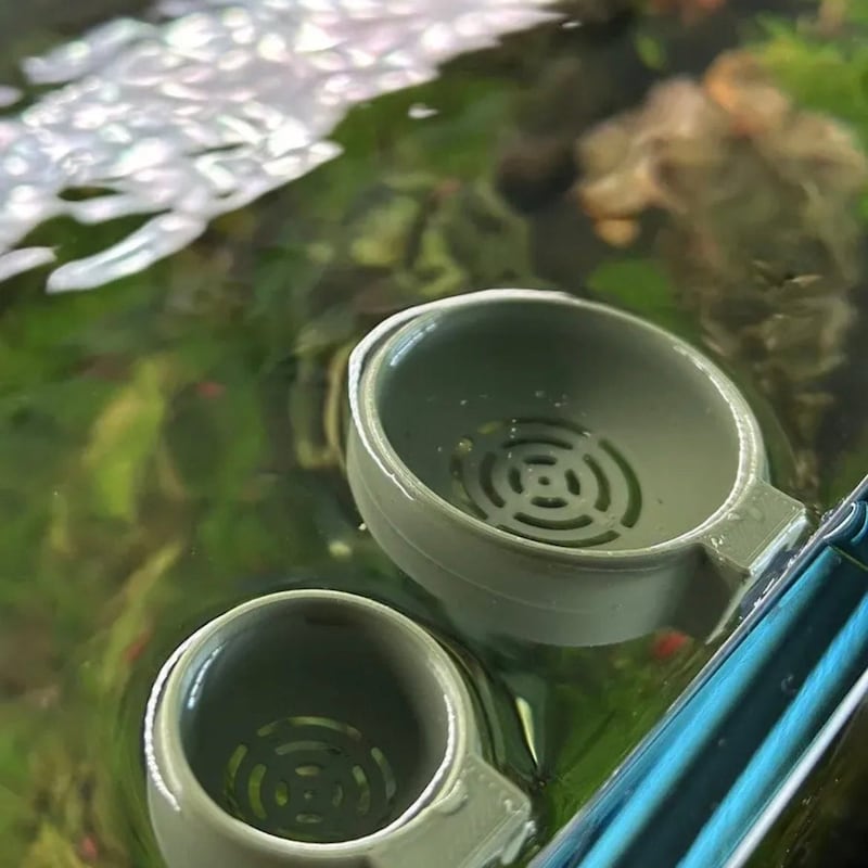 Holiday Food for Fish - Etsy UK