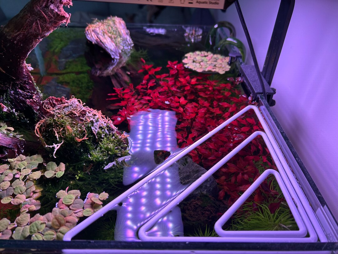 3” - 9” Aquarium Floating Plant Ring Window Triangle Aquascaping ...