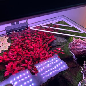 3” - 9” Aquarium Floating Plant Ring Window Triangle Aquascaping ...