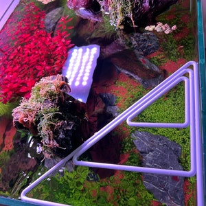 3” - 9” Aquarium Floating Plant Ring Window Triangle Aquascaping ...