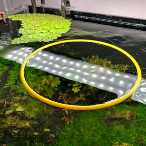 50-225mm Aquarium Floating Plant Rings Aquascaping Frogbit (ANY COLOUR ...