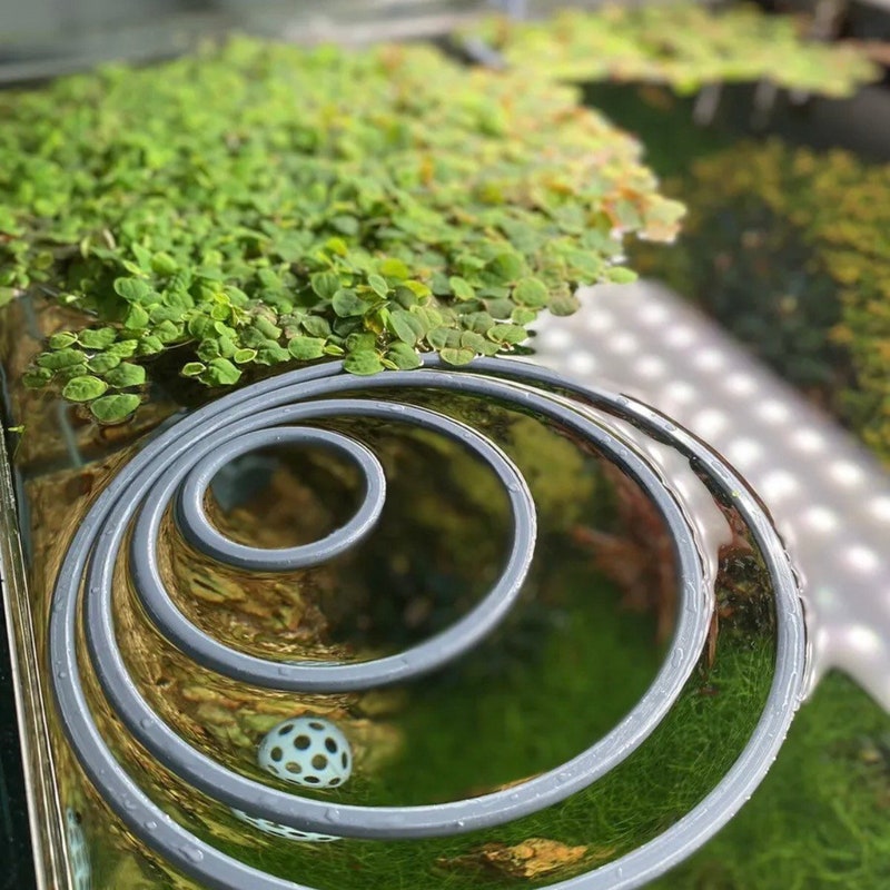 Aquarium Floating Ring - Etsy UK