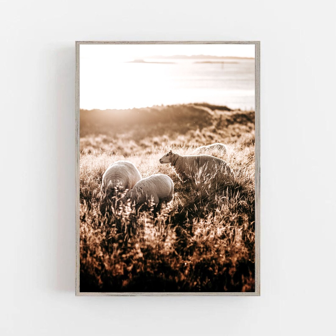 Sheep Wall Art Sheep Photography Printable Sheep Print Nature Wall Art ...