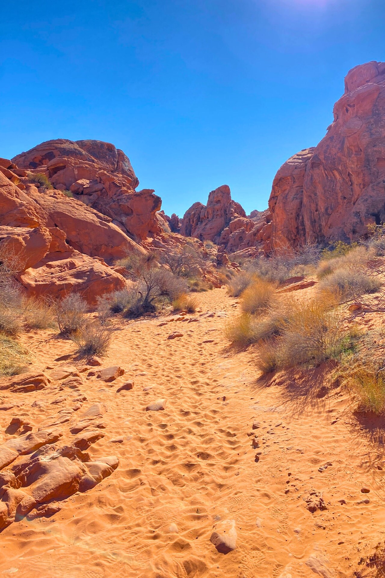 Desert Trail Landscape Digital Photo - Instant Download - Etsy