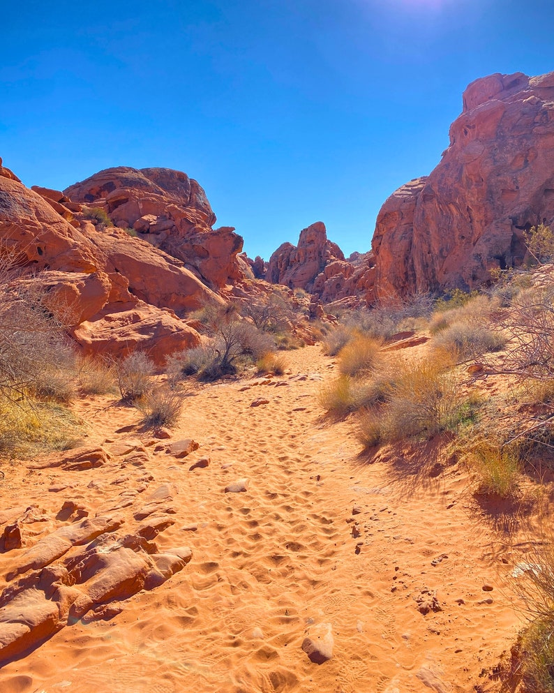 Desert Trail Landscape Digital Photo - Instant Download - Etsy